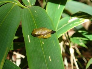 %ef%bc%92%ef%bc%96-%e2%91%a3%e4%ba%8c%e3%81%a4%e6%b1%a0%e7%95%94%e3%81 ...